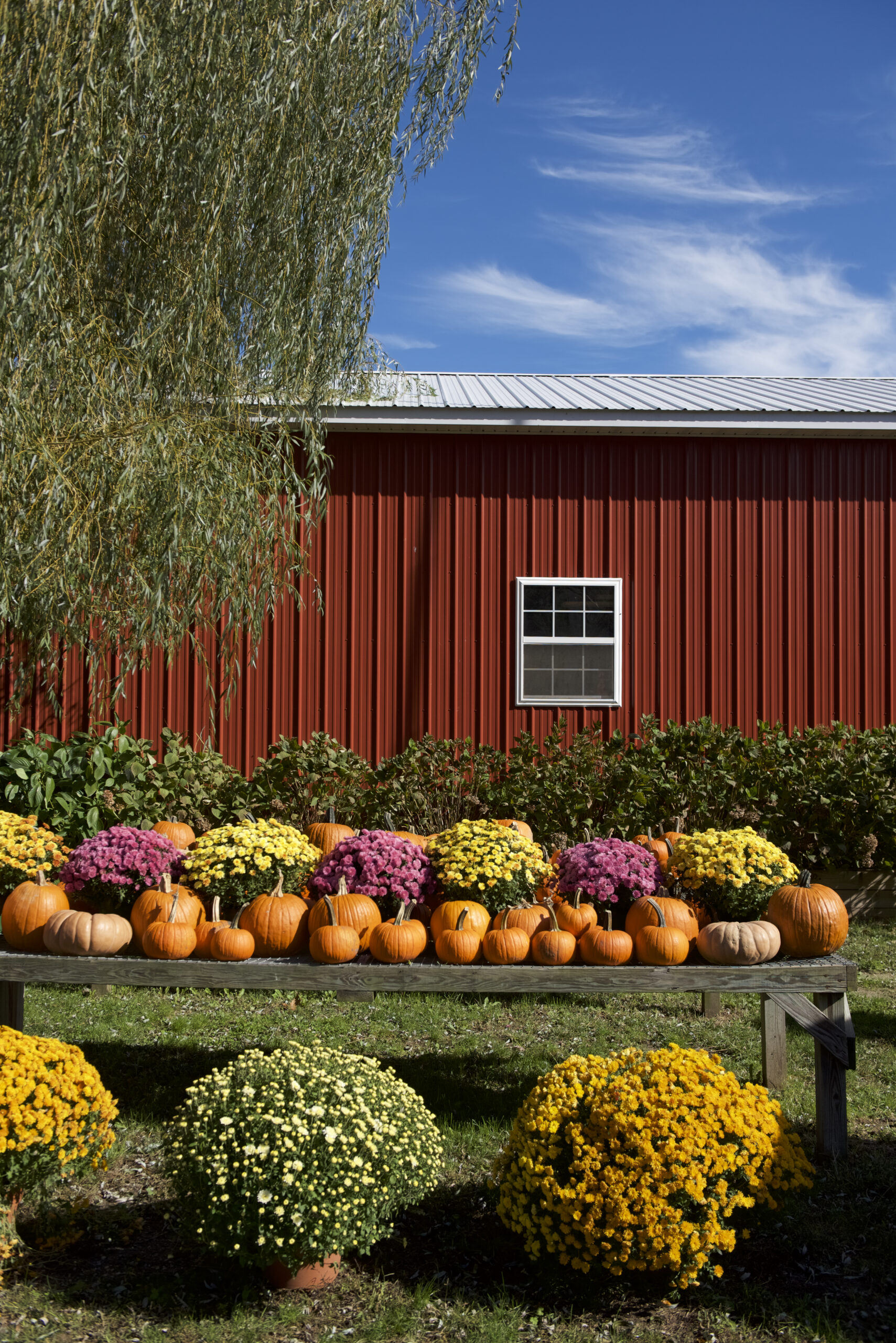 8 ways to embrace fall on the South Fork | Southforker